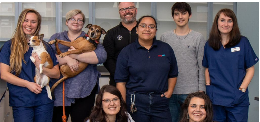 easyvet | Veterinary Careers